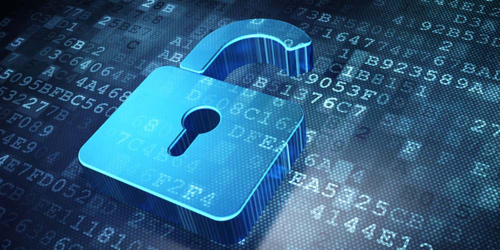 Do You Really Need Internet Security Software? Or Will Your Common ...