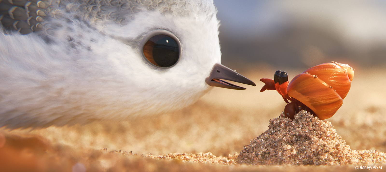 The Formation Of 'Alliance For OpenUSD' To Set Open Standards For 3D ...