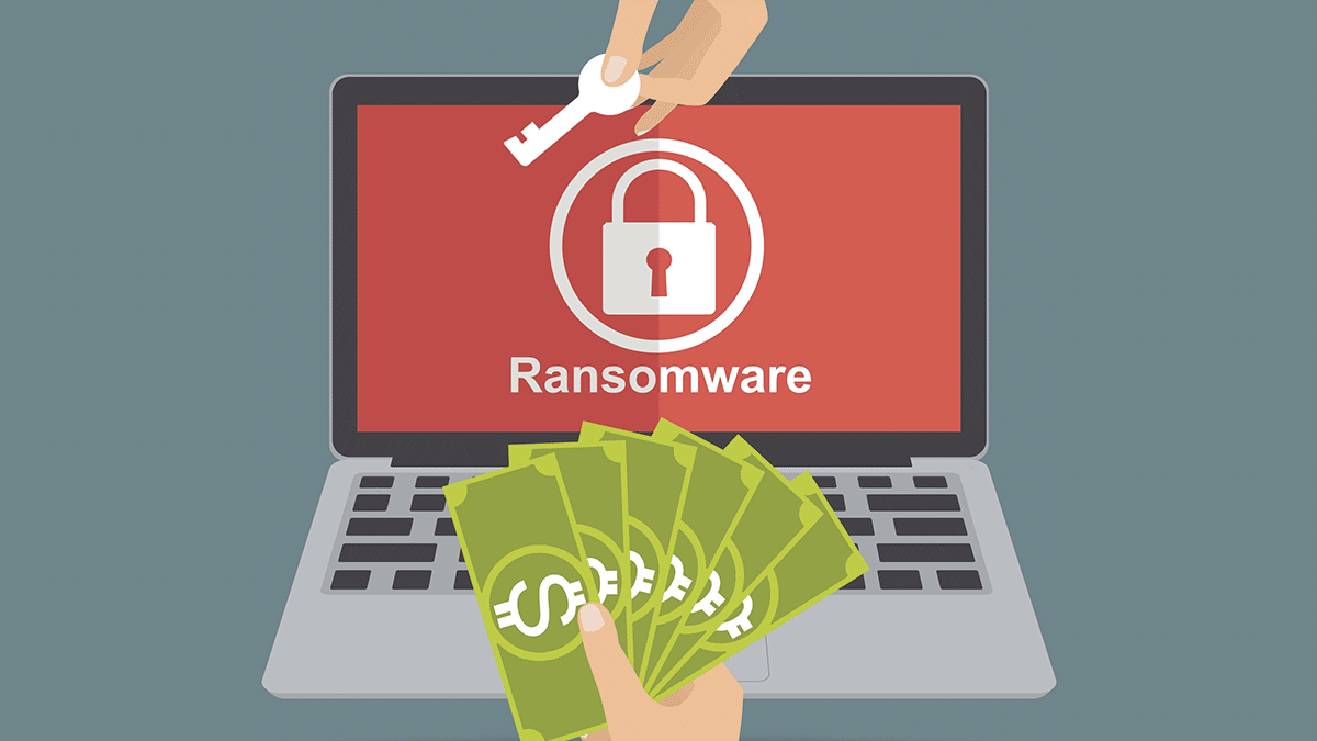 Security Companies, Tech Companies And Non-Profits Formed The ...