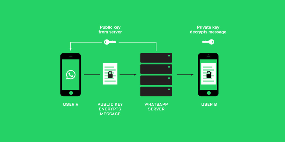 WhatsApp Introduces End-To-End Encryption: Creating A Wall Between ...